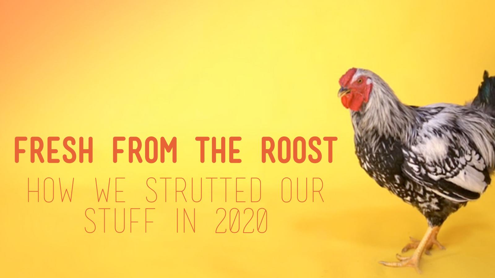 Fresh From the Roost: How We Strutted Our Stuff in 2020 ...